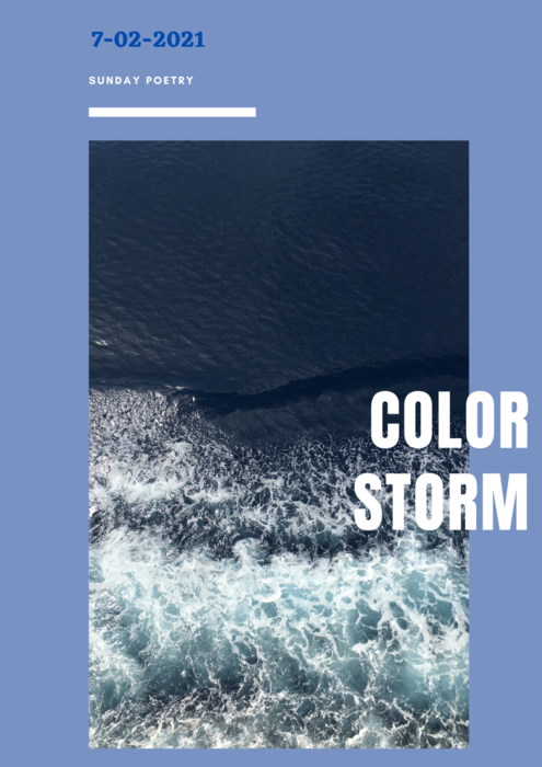 sunday poetry #4 :: Blog-em